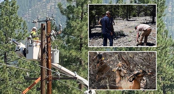 Power Safe NV | NV Energy