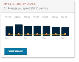Manage MyAccount | NV Energy