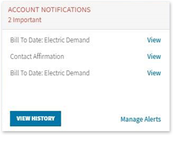 Manage MyAccount | NV Energy