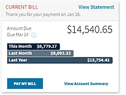 Manage MyAccount | NV Energy